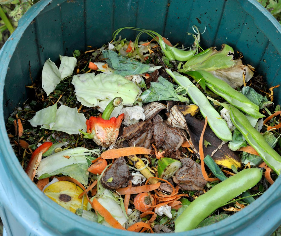 10 Tips for an Earth Friendly Yard – Save Tarrant Water