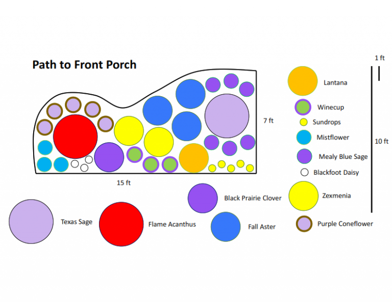 Five Garden Designs Using Native Plants – Save Tarrant Water