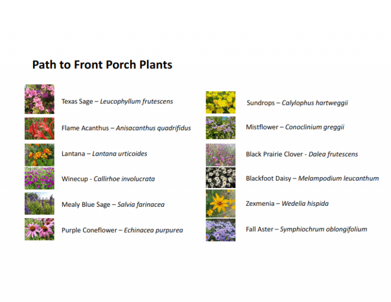 Five Garden Designs Using Native Plants – Save Tarrant Water