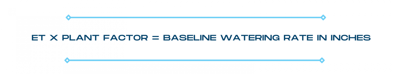 Calculating the True Water Needs of Your Landscape | Save Tarrant Water