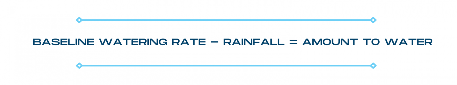 Calculating the True Water Needs of Your Landscape | Save Tarrant Water