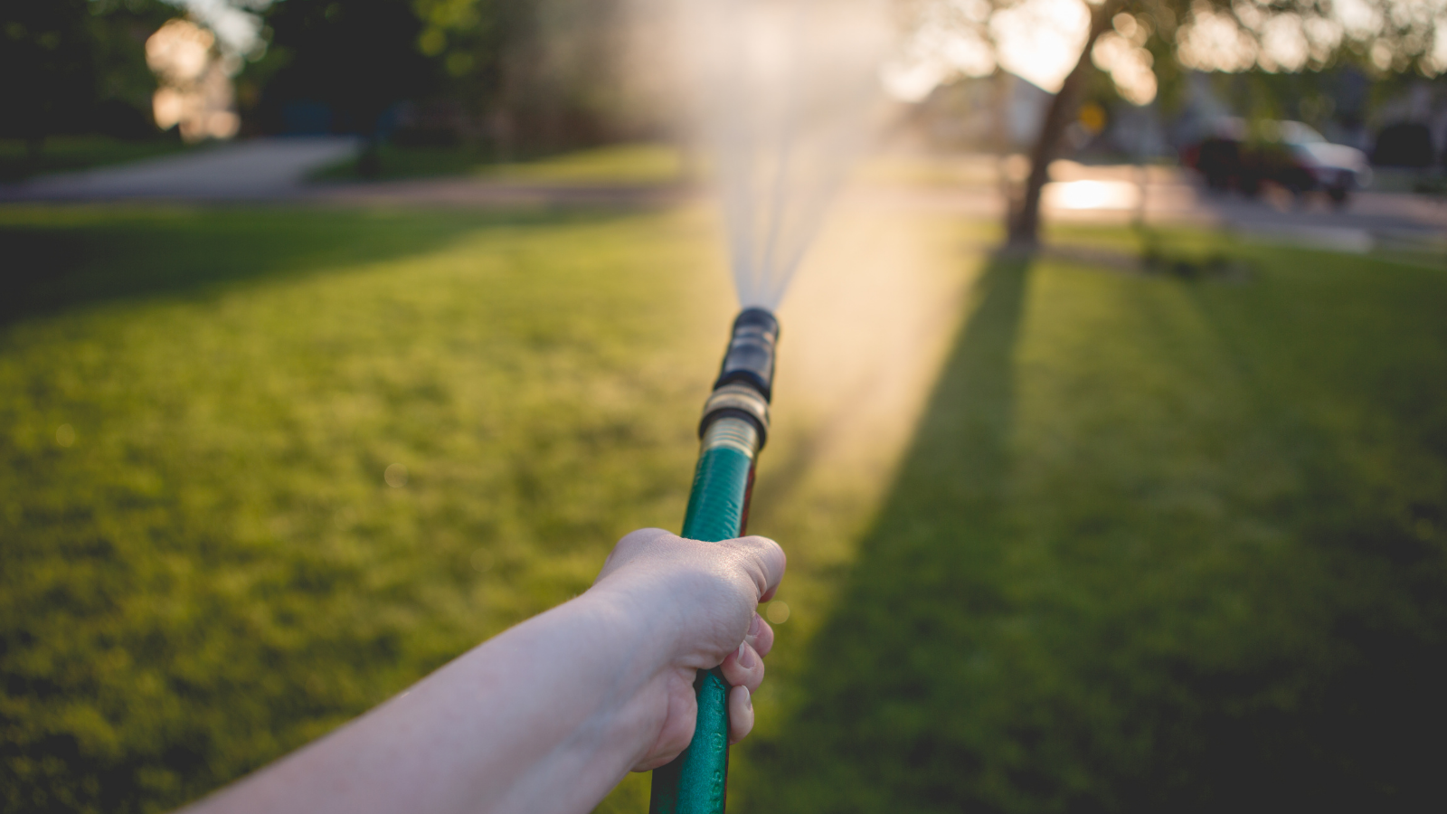 Calculating the True Water Needs of Your Landscape | Save Tarrant Water