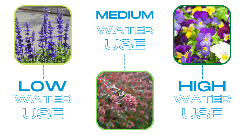 Calculating the True Water Needs of Your Landscape | Save Tarrant Water