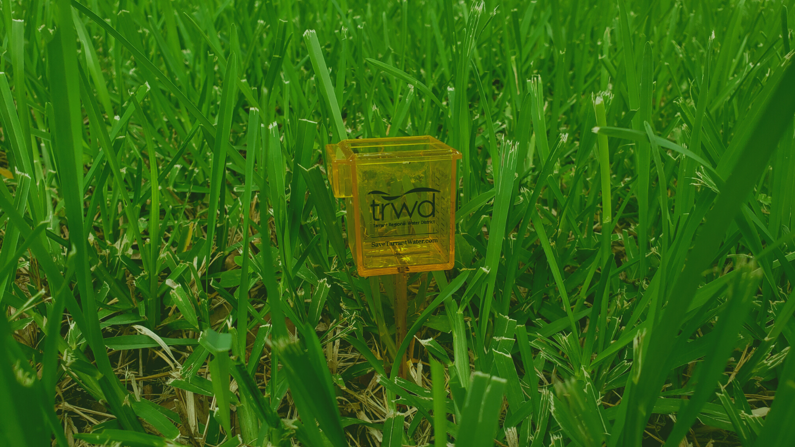 How To Use Your Sprinkler Test Kit | Save Tarrant Water
