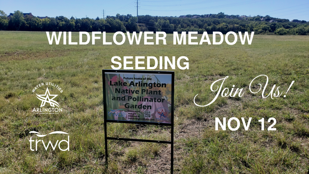 Lake Arlington Garden Wildflower Meadow Seeding – Save Tarrant Water