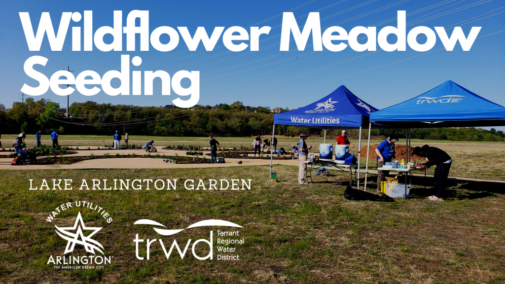 Lake Arlington Garden Wildflower Meadow Seeding | Save Tarrant Water