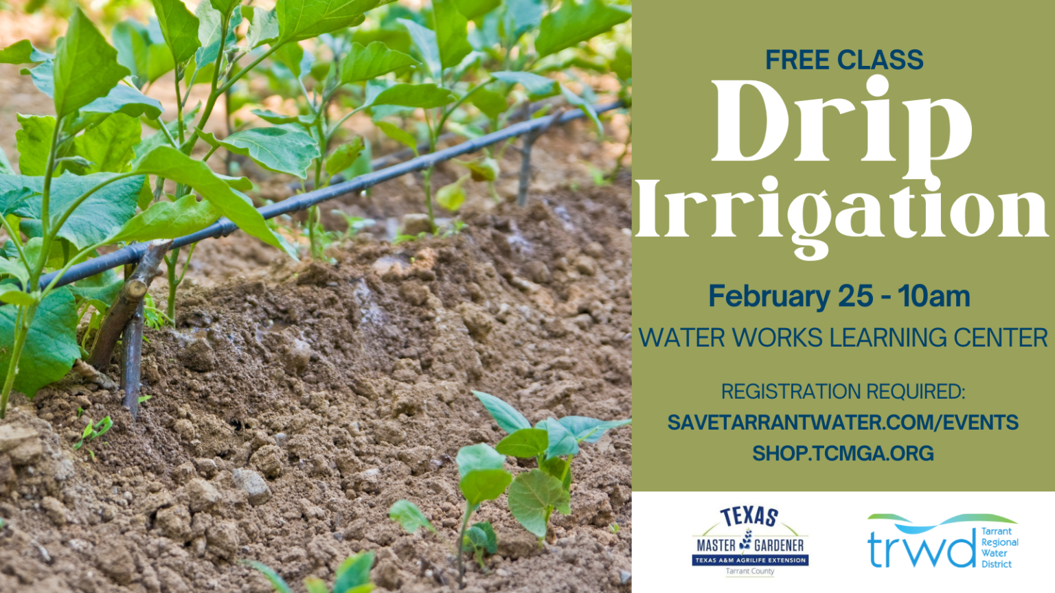 Drip Irrigation – Save Tarrant Water