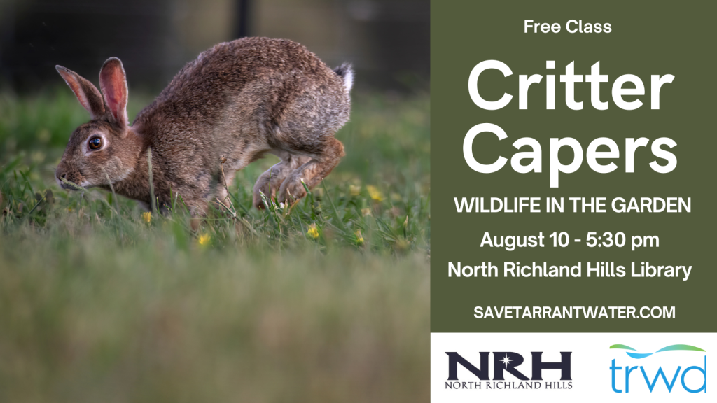 Critter Capers | Save Tarrant Water