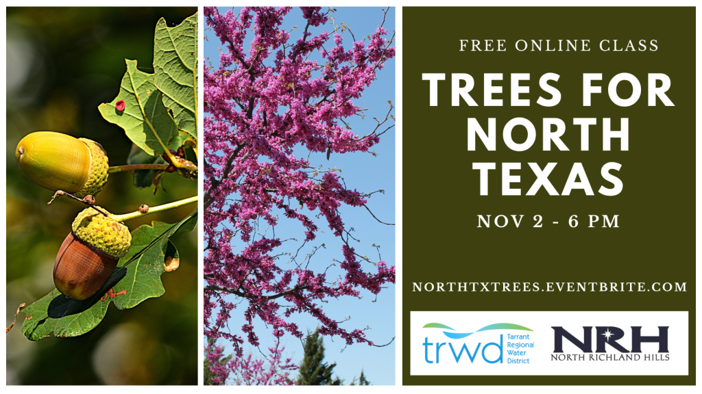 Trees for North Texas | Save Tarrant Water