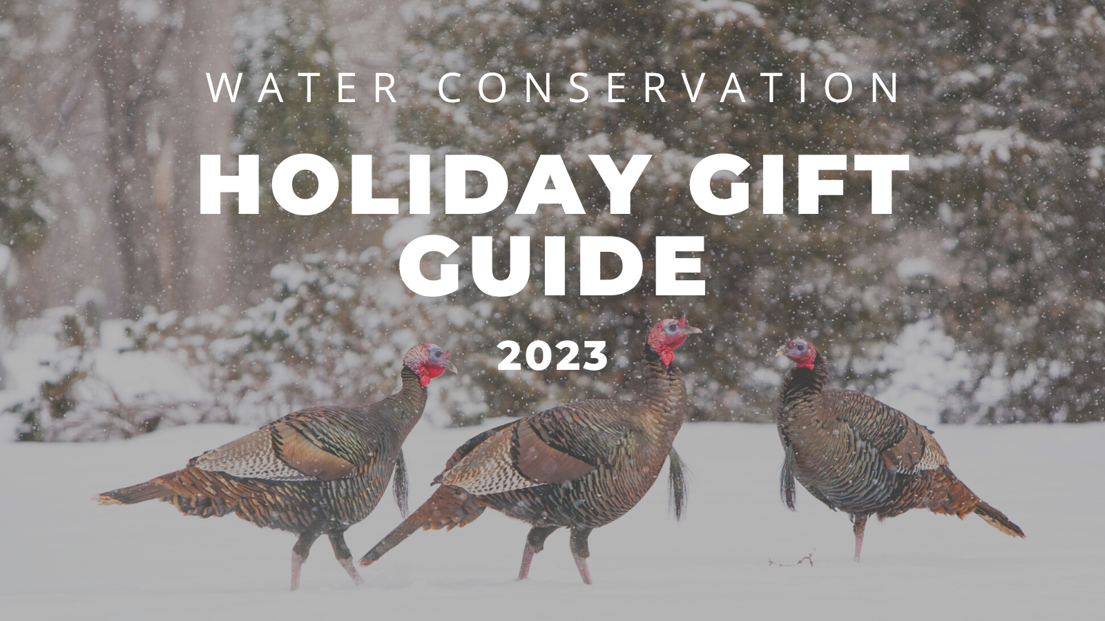 Water Conservation Gift Guide 2023 | Save Tarrant Water