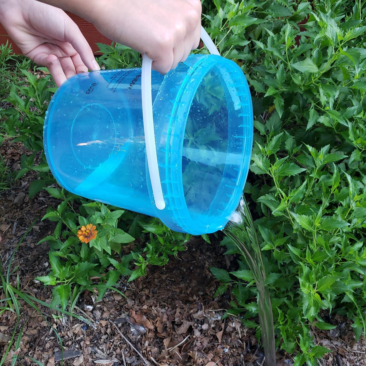 Water Champion Guide | Save Tarrant Water