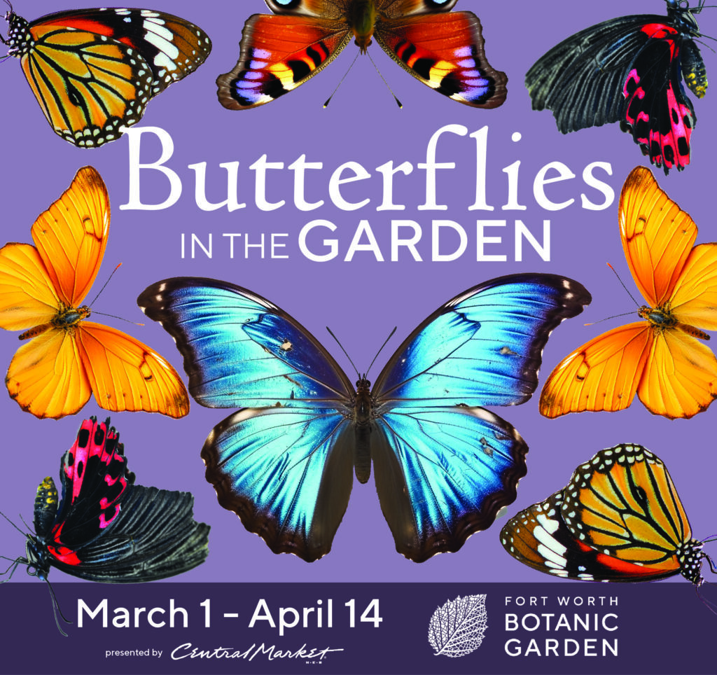 Native Plant and Pollinator Resources | Save Tarrant Water