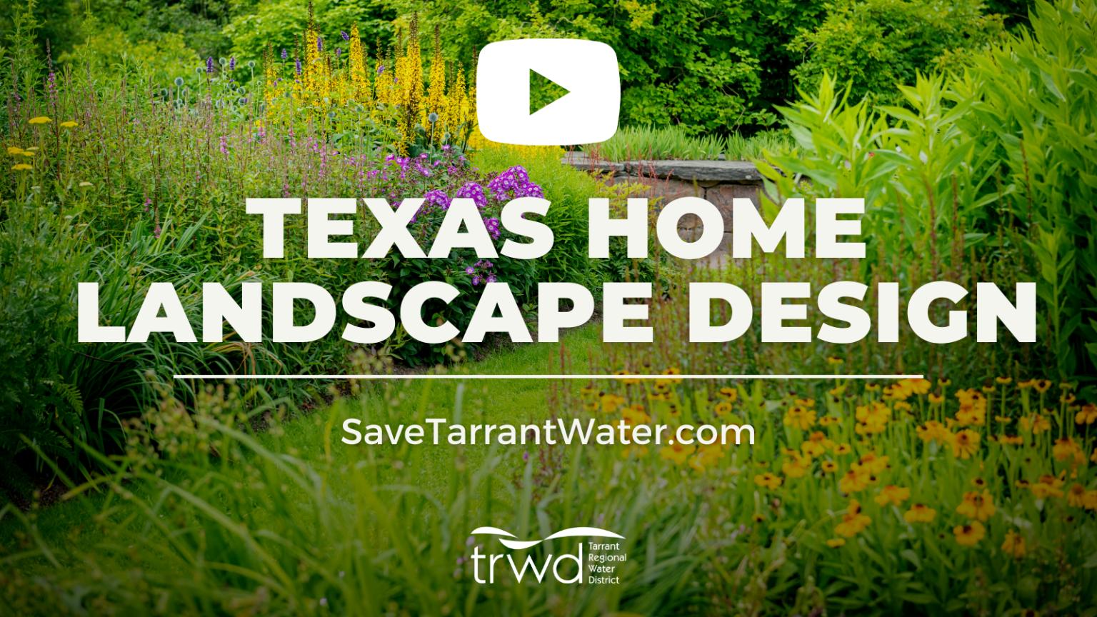 Native Plant and Pollinator Resources | Save Tarrant Water
