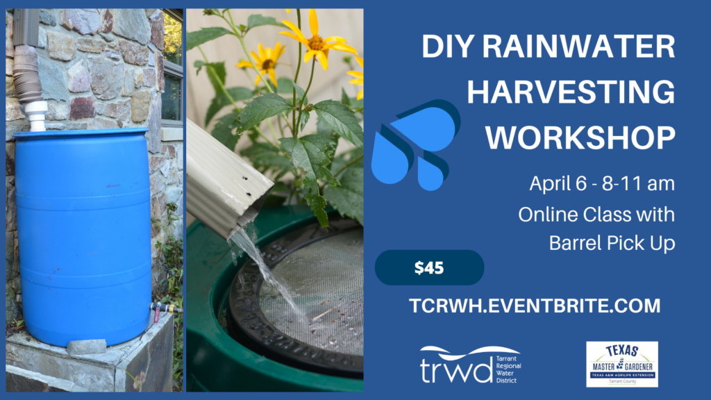 DIY Rainwater Harvesting – Save Tarrant Water