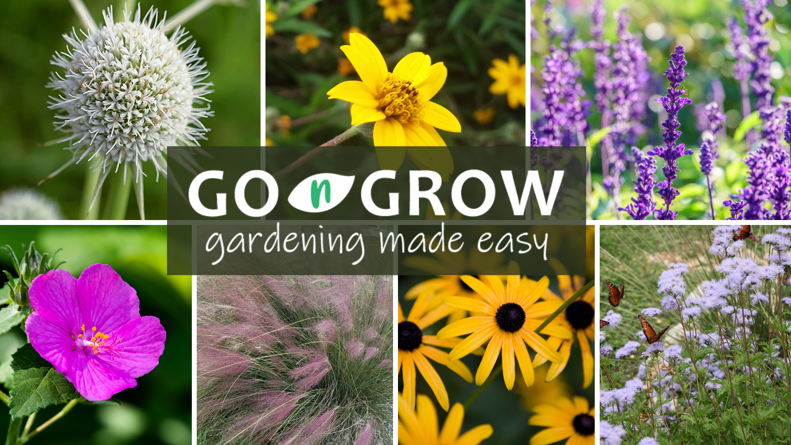 Go N Grow Gardens | Save Tarrant Water