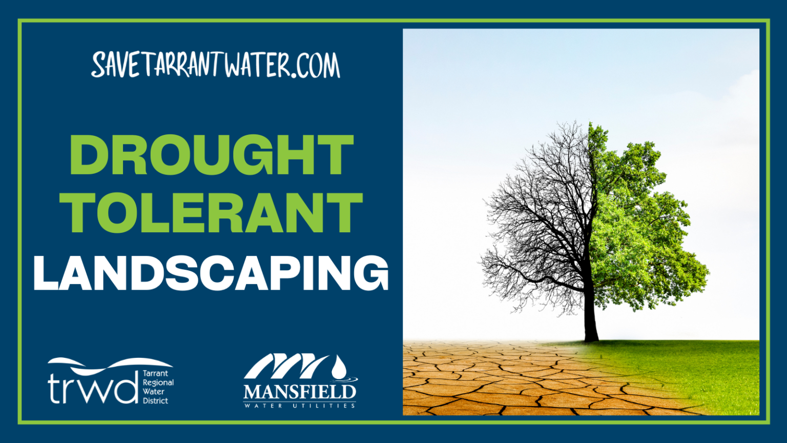 Drought Tolerant Landscaping – Save Tarrant Water