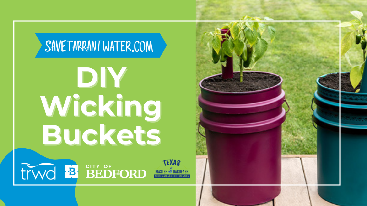 DIY Wicking Buckets – Save Tarrant Water