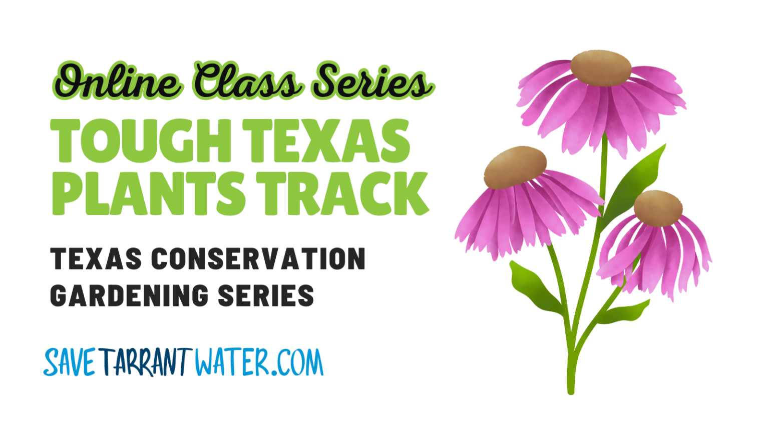 Texas Conservation Gardening – Save Tarrant Water