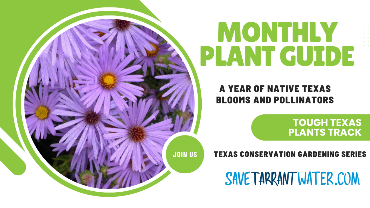Monthly Plant Guide: A Year of Native Texas Blooms and Pollinators ...