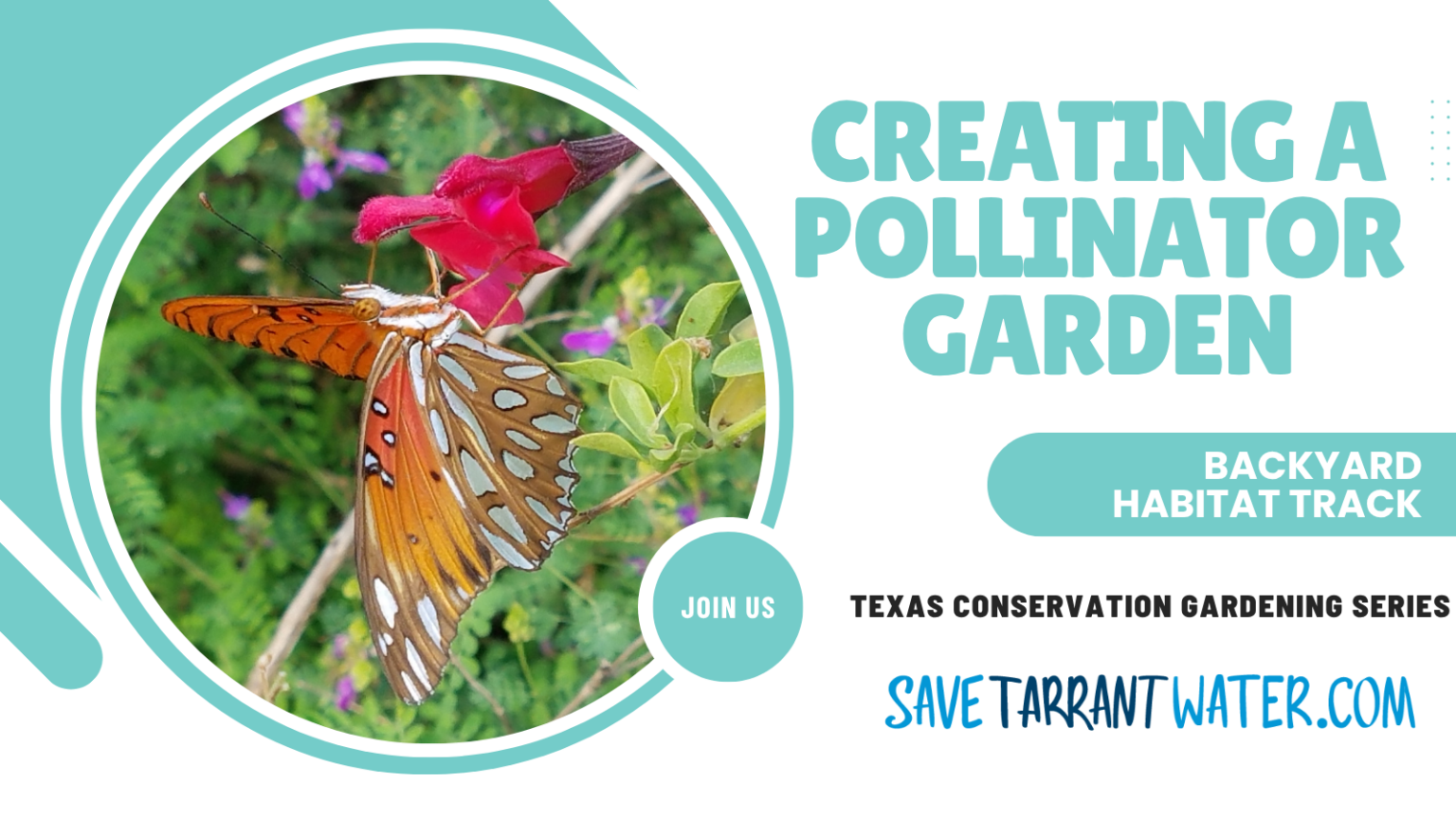 Creating a Pollinator Garden – Save Tarrant Water