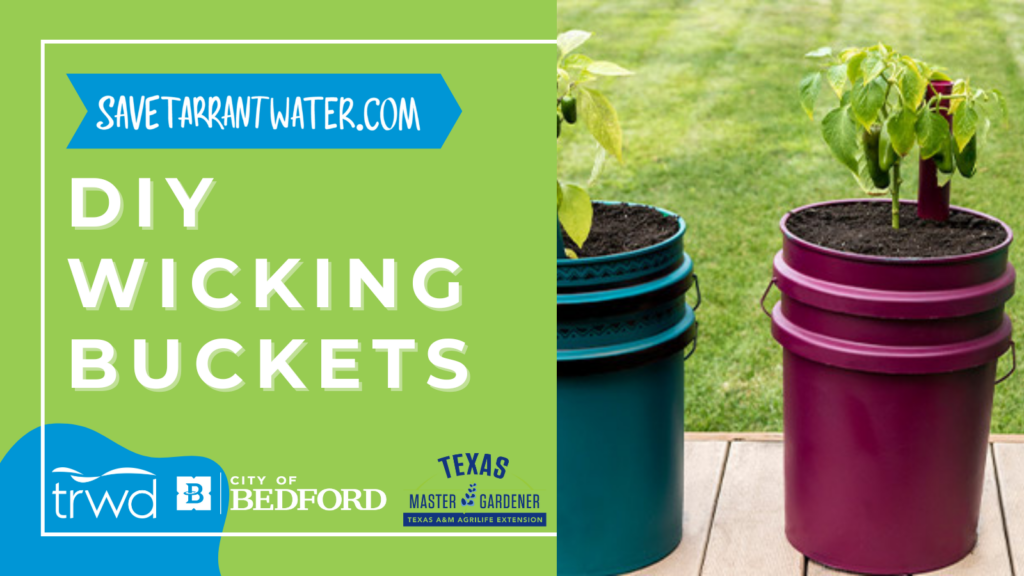 DIY Wicking Buckets – Save Tarrant Water