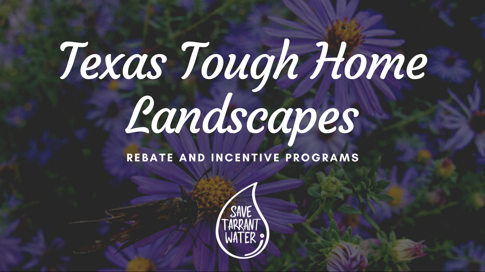 Native Texas Landscape Incentive Program | Save Tarrant Water