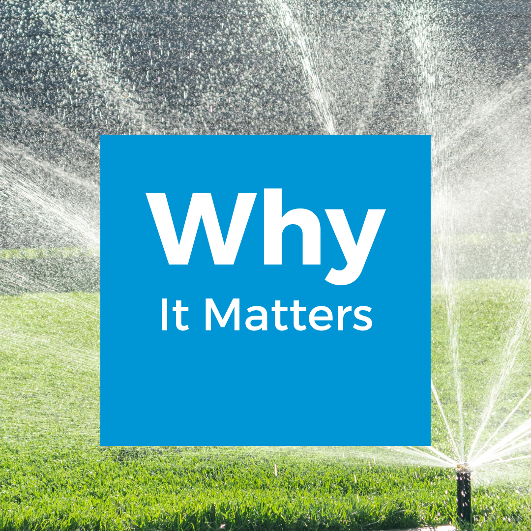 Native Texas Landscape Incentive Program | Save Tarrant Water