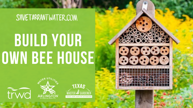 Build Your Own Bee House – Save Tarrant Water