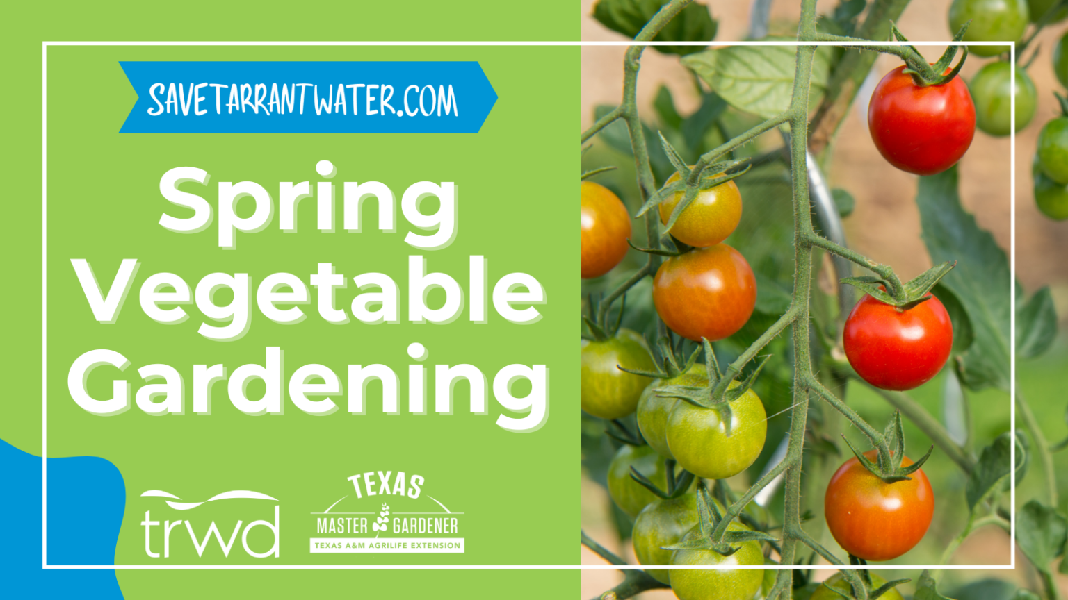 Spring Vegetable Gardening – Save Tarrant Water