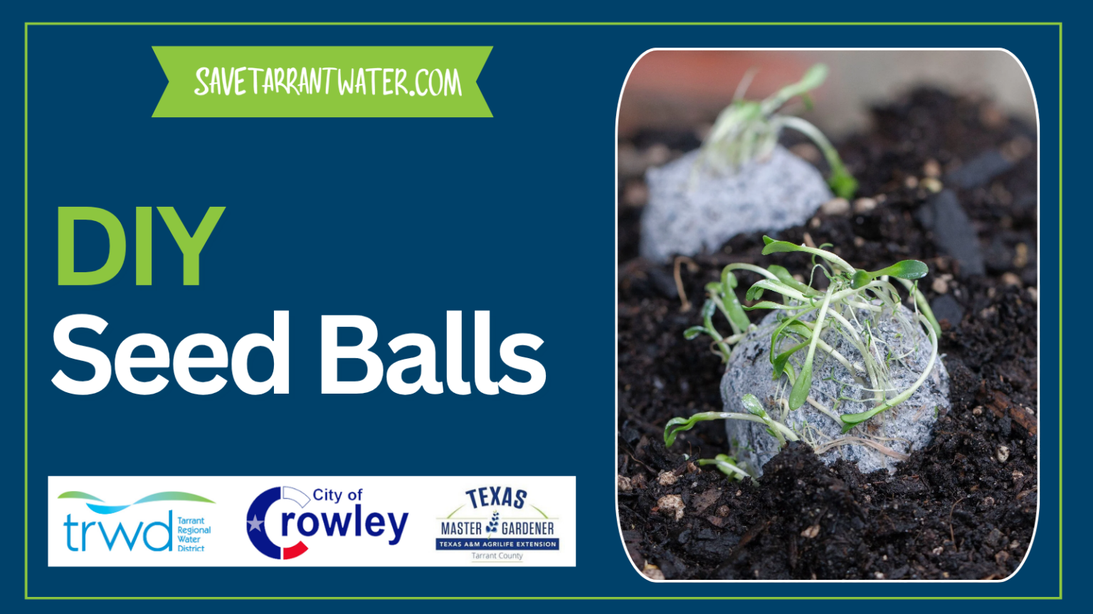 DIY Seed Balls – Save Tarrant Water